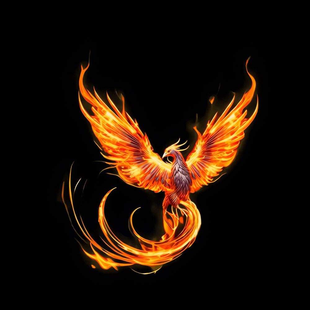 Fiery phoenix soaring majestically upward | Free Transparent Video ...