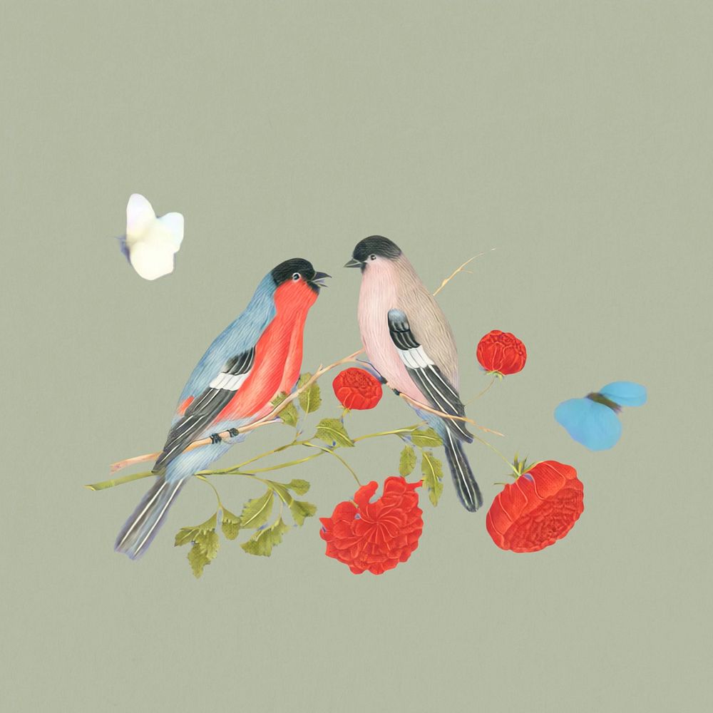 Colorful birds vibrant flowers animation | Premium Transparent Video ...