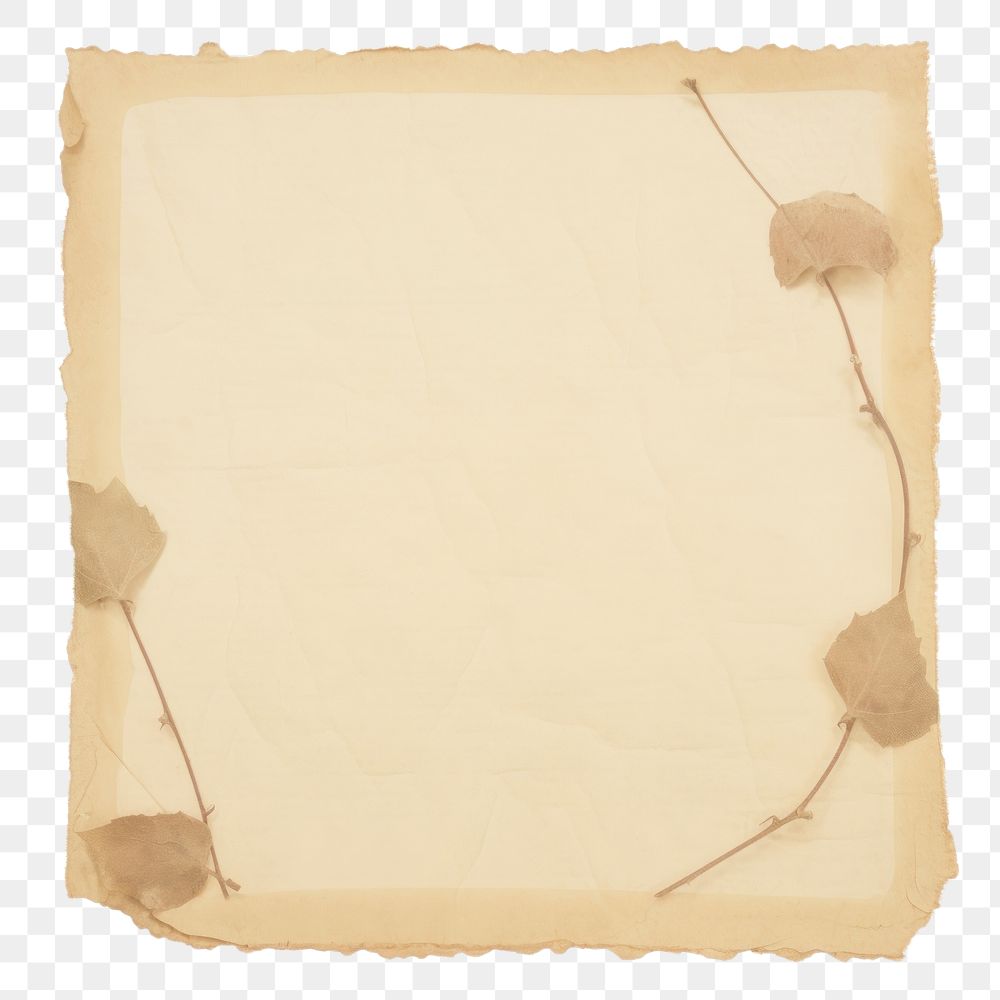 PNG Vine ripped paper text | Free PNG - rawpixel