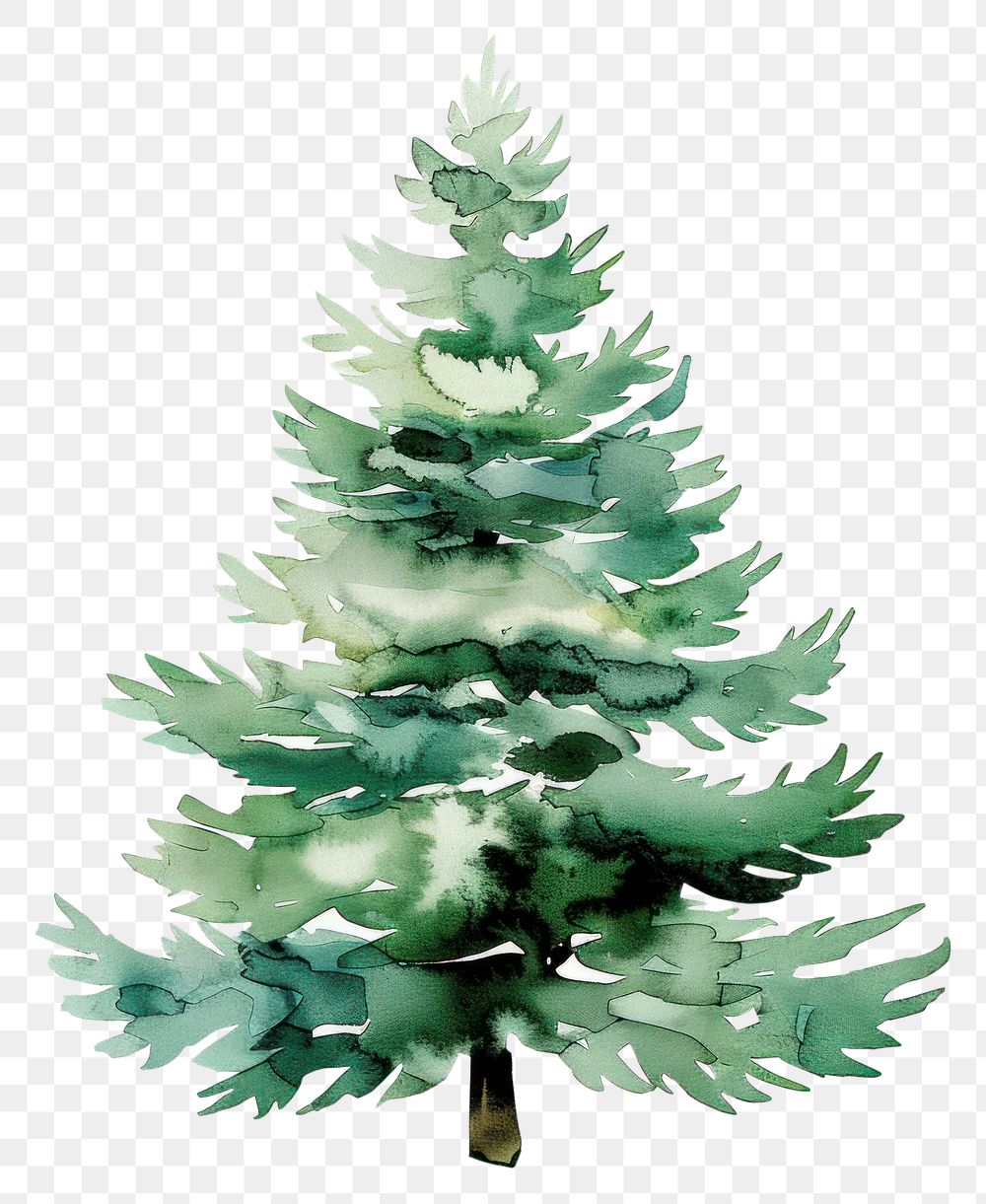 PNG Christmas tree festival conifer | Premium PNG - rawpixel