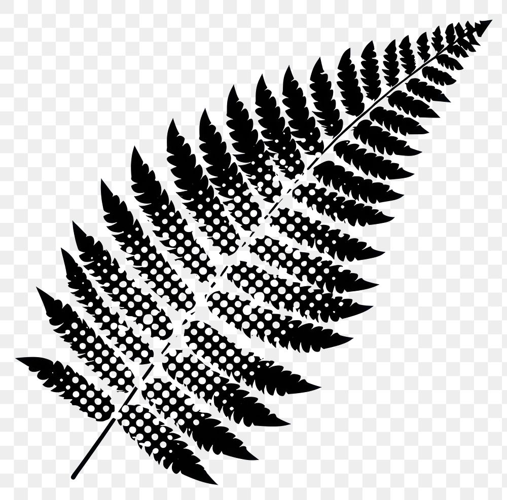 PNG Fern leaf icon plant | Free PNG - rawpixel