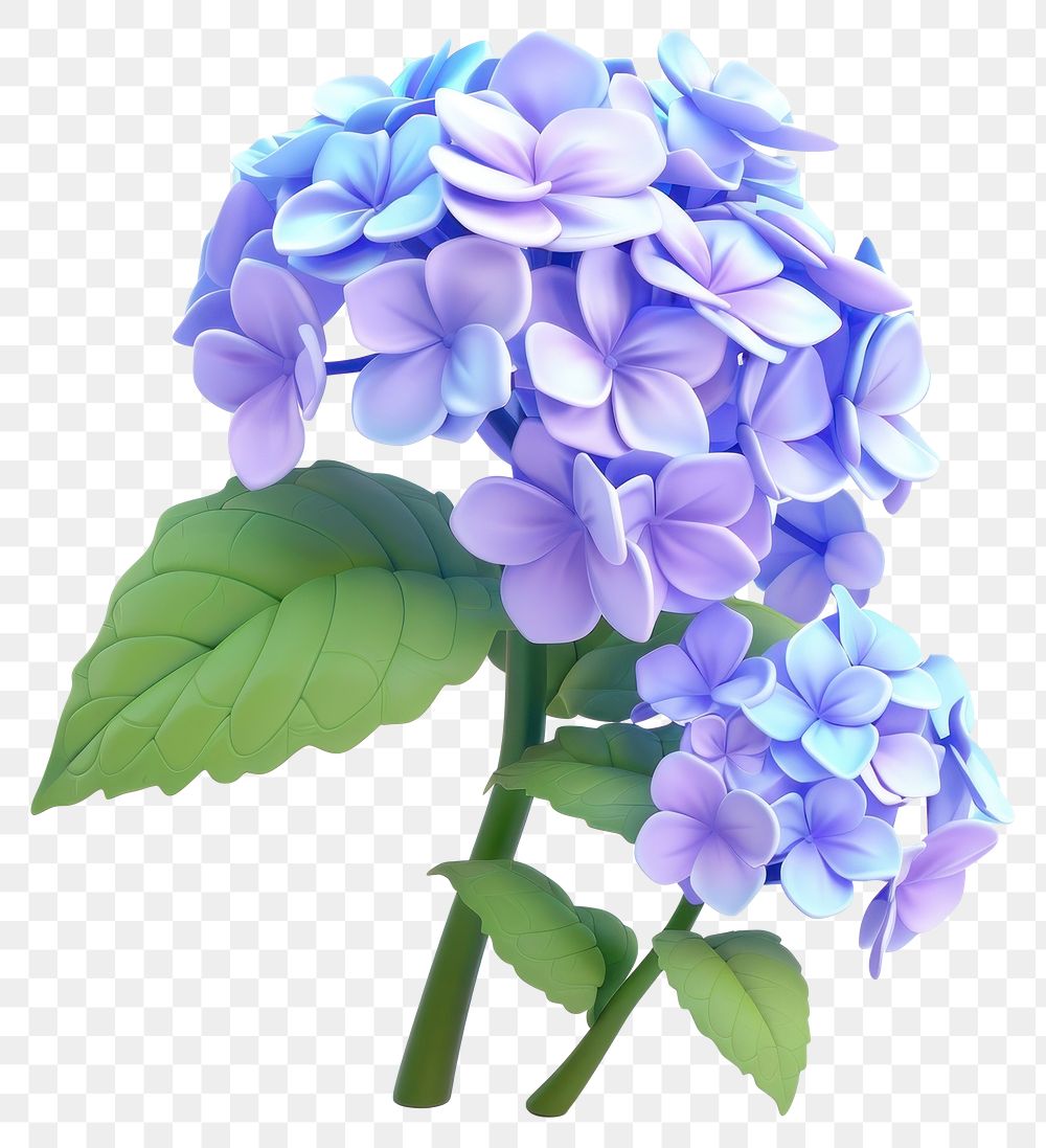 PNG Vibrant hydrangea flower illustration | Premium PNG - rawpixel