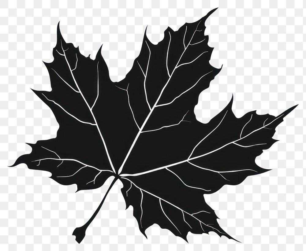 PNG Black maple leaf silhouette | Free PNG - rawpixel