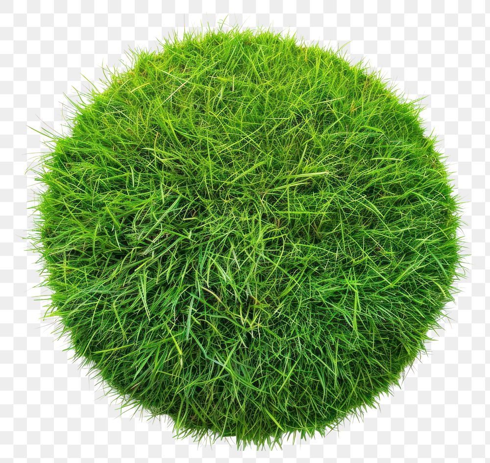 PNG Round lush green grass | Free PNG - rawpixel