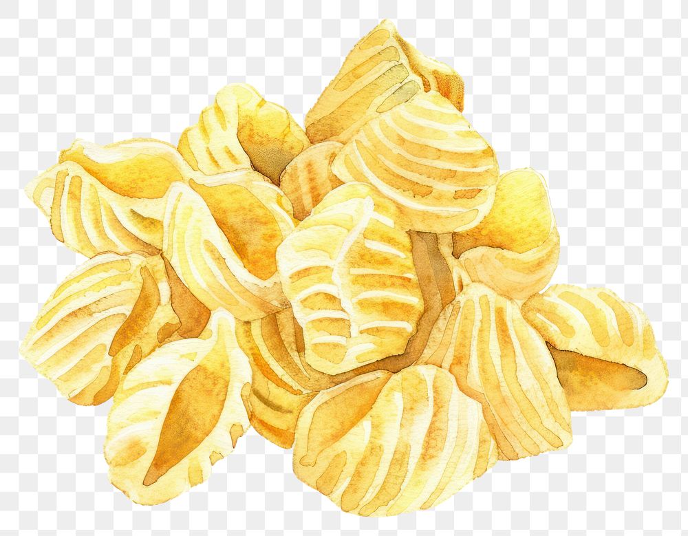 PNG Watercolor pasta shells illustration | Free PNG - rawpixel