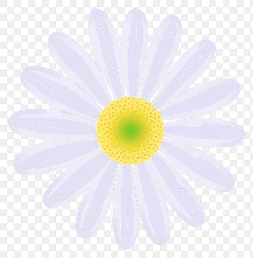 PNG Simple daisy flower illustration | Free PNG - rawpixel