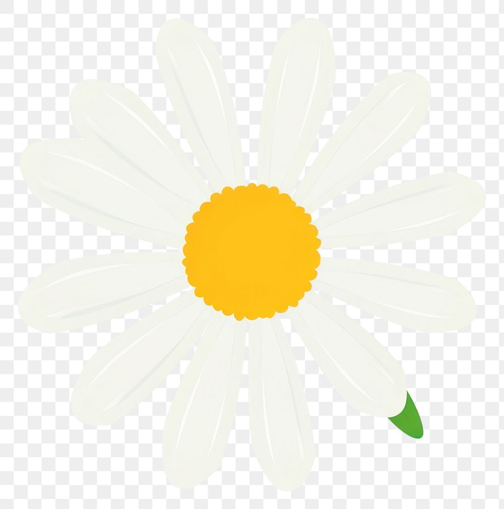 PNG Simple daisy flower illustration | Free PNG - rawpixel