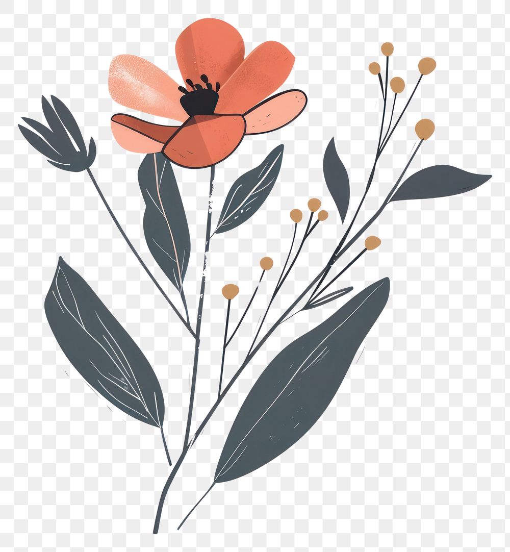 PNG Minimalist floral illustration art | Free PNG - rawpixel