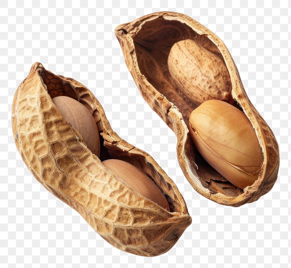 PNG Open peanut shell nuts | Free PNG - rawpixel
