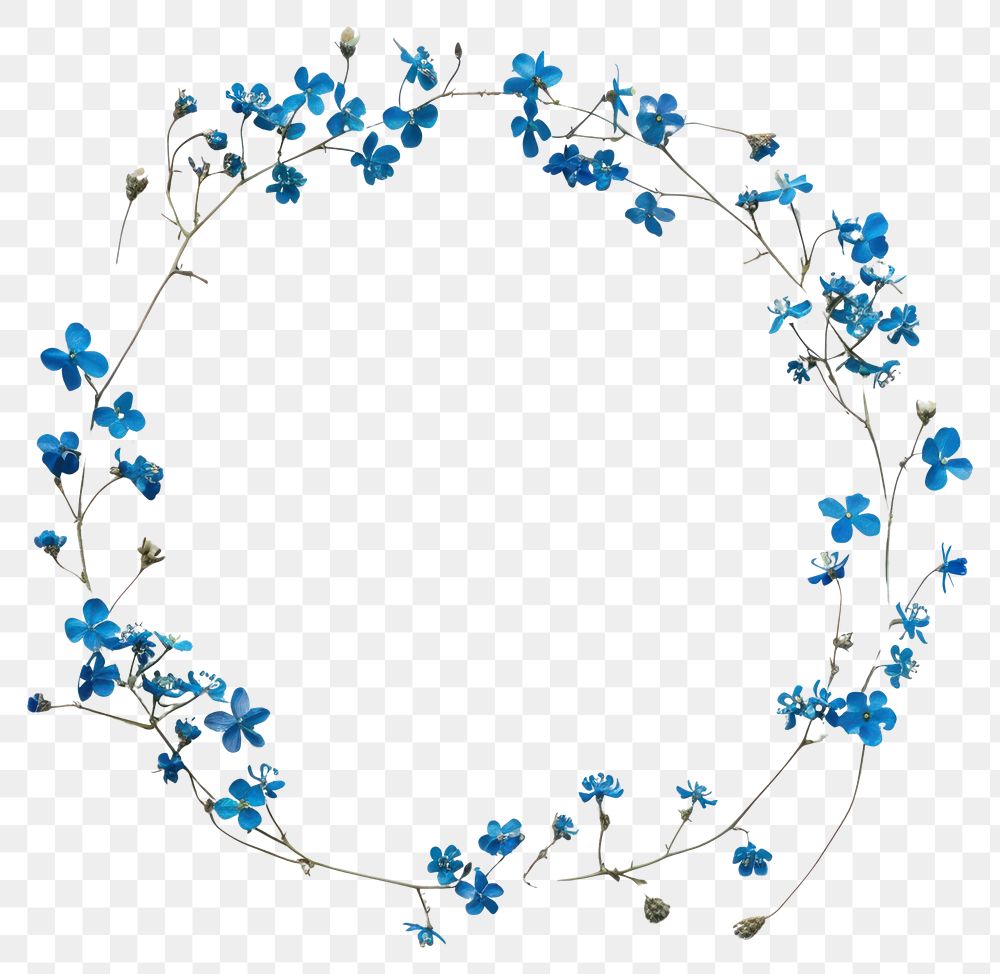 Real Frame PNG Images | Free Photos, PNG Stickers, Wallpapers ...