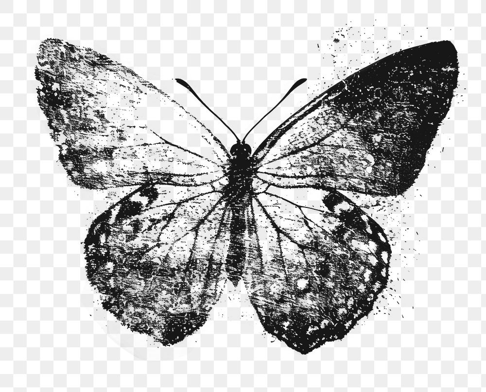PNG Monochrome butterfly ink splatter | Premium PNG - rawpixel