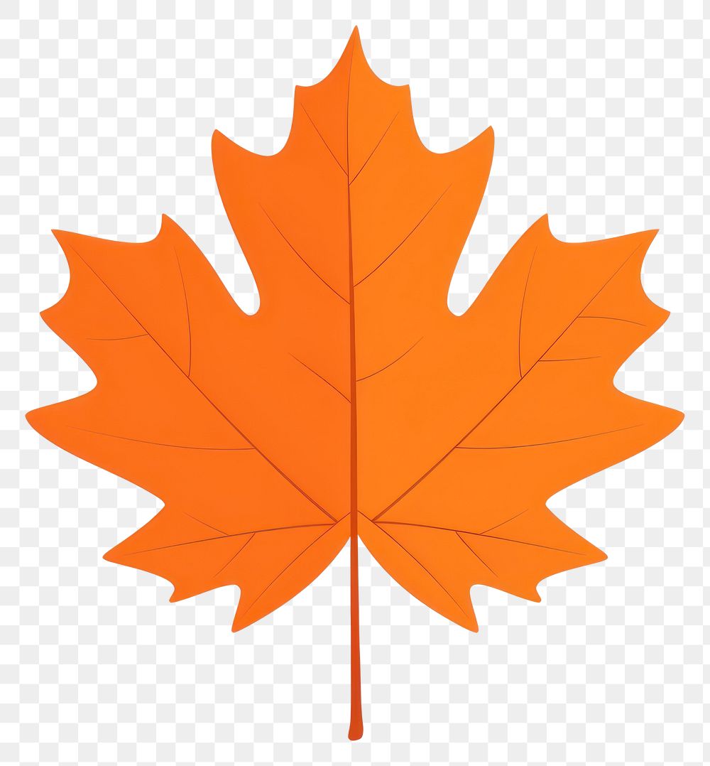 Bright orange maple leaf illustration | Free PNG - rawpixel