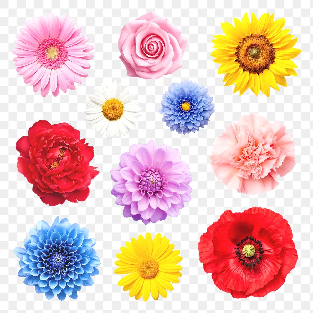 PNG realistic flower element set, | Premium PNG - rawpixel