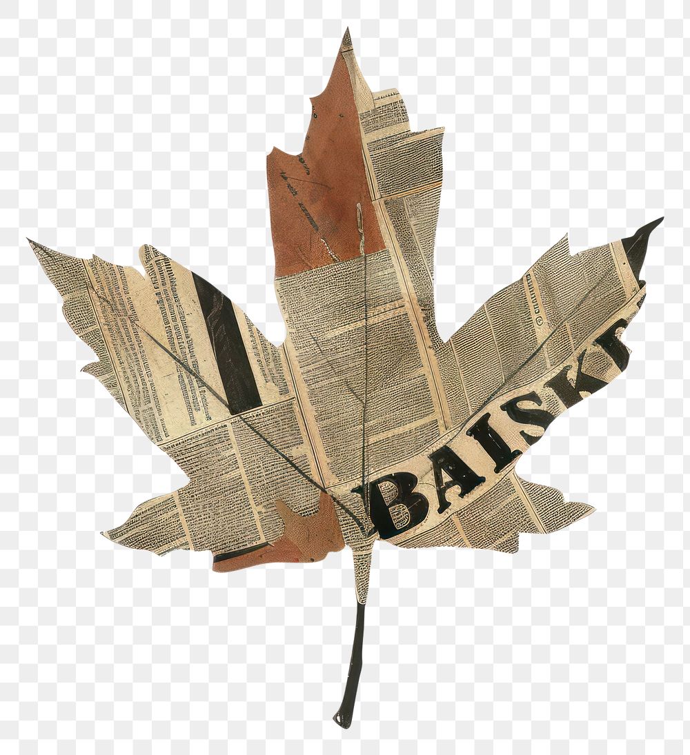 PNG Newspaper collage maple leaf | Free PNG - rawpixel