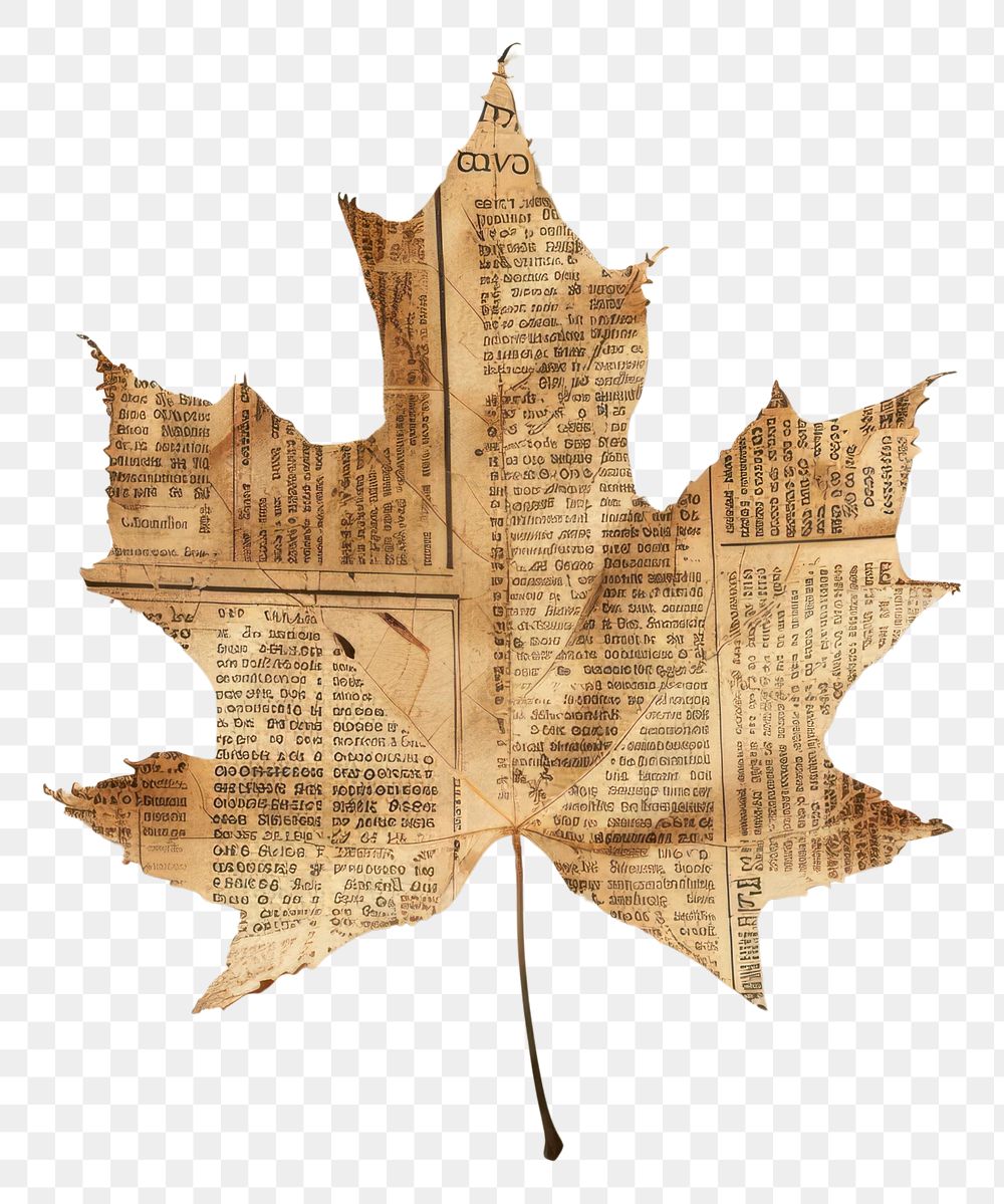 PNG Newspaper leaf autumn art | Premium PNG - rawpixel