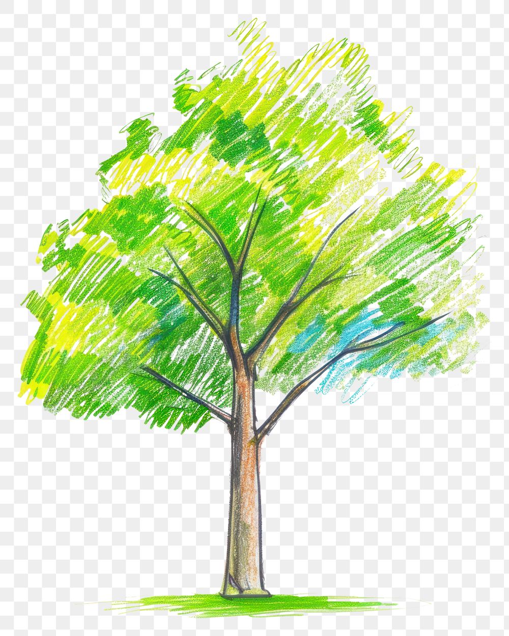 PNG tree drawing art illustrated | Premium PNG - rawpixel