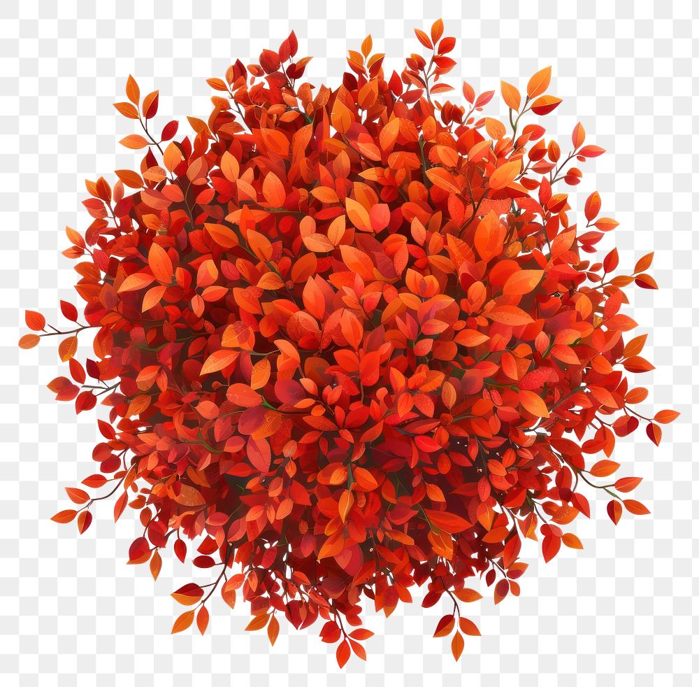 PNG vibrant autumn foliage sphere | Premium PNG - rawpixel
