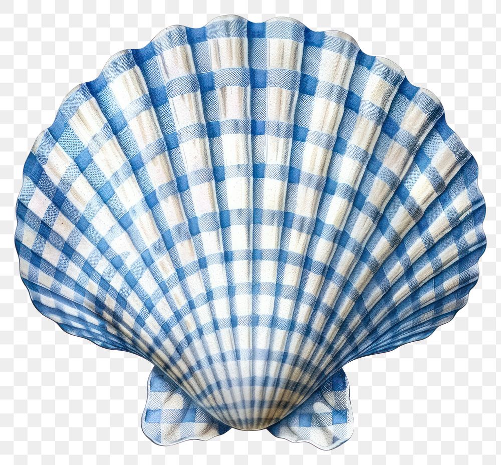 PNG Shell shape collage cutout | Premium PNG - rawpixel