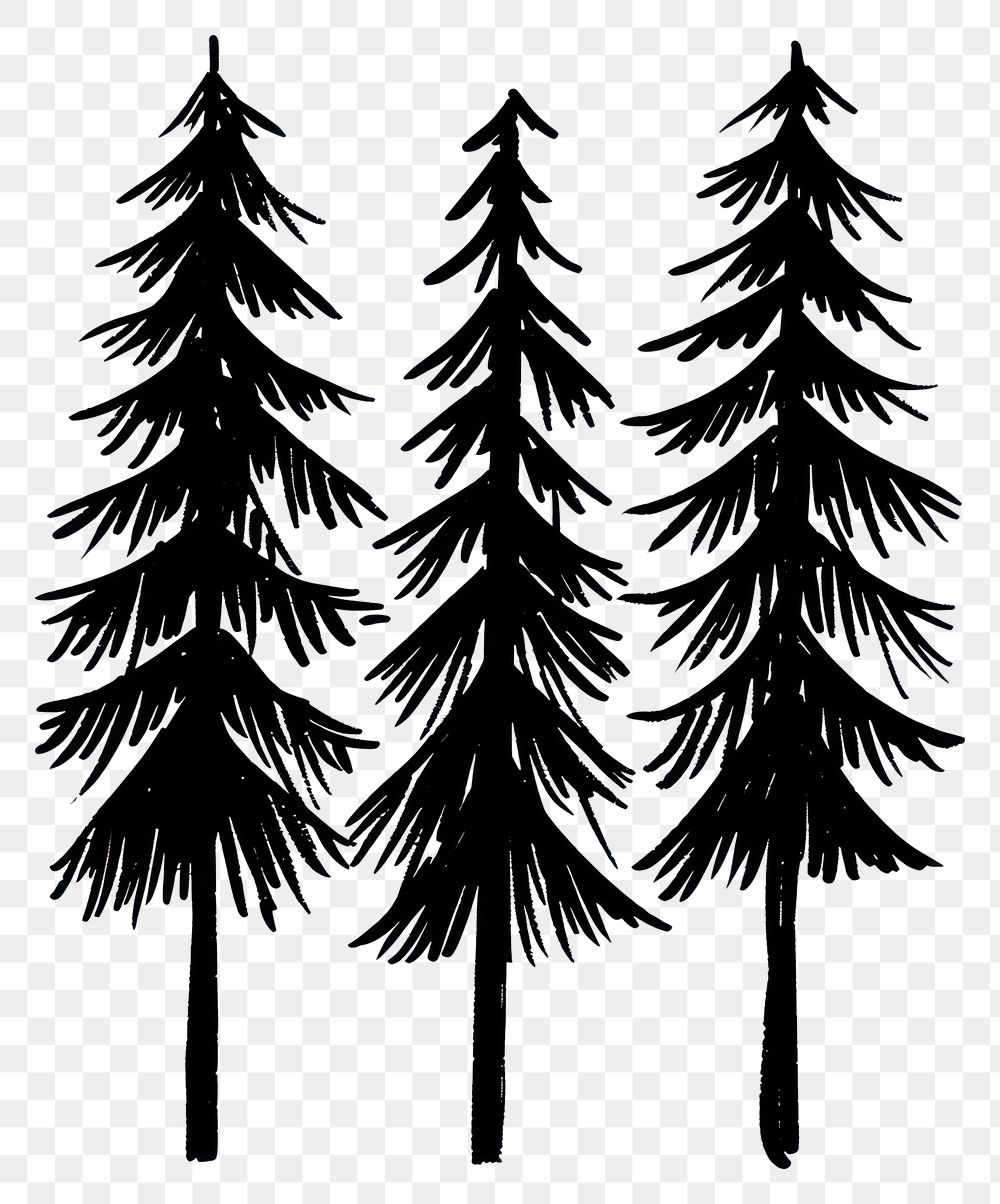 PNG Three hand-drawn pine trees | Free PNG - rawpixel