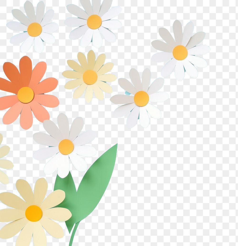 Simple daisy flowers backgrounds pattern | Free PNG - rawpixel