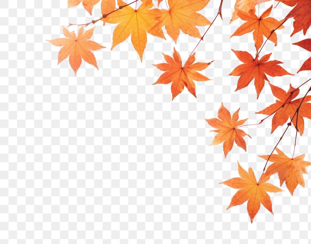PNG Autumn leaves border, transparent | Premium PNG - rawpixel