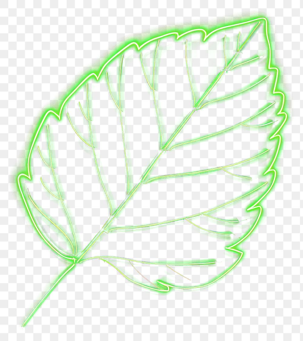PNG Glowing neon green leaf | Free PNG - rawpixel