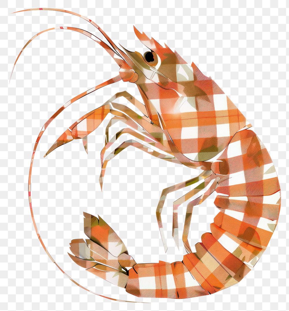 PNG Shrimp collage cutout invertebrate | Free PNG - rawpixel