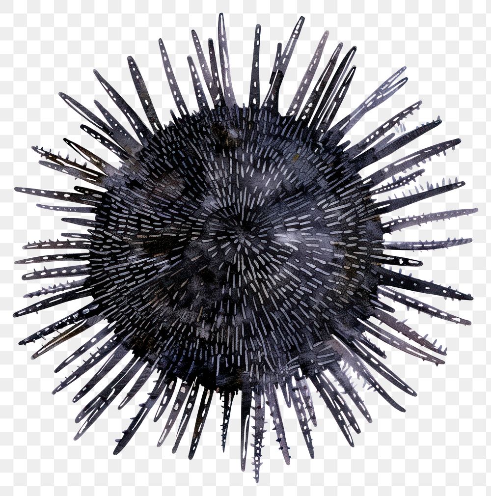 PNG Abstract spiky black sphere | Free PNG - rawpixel