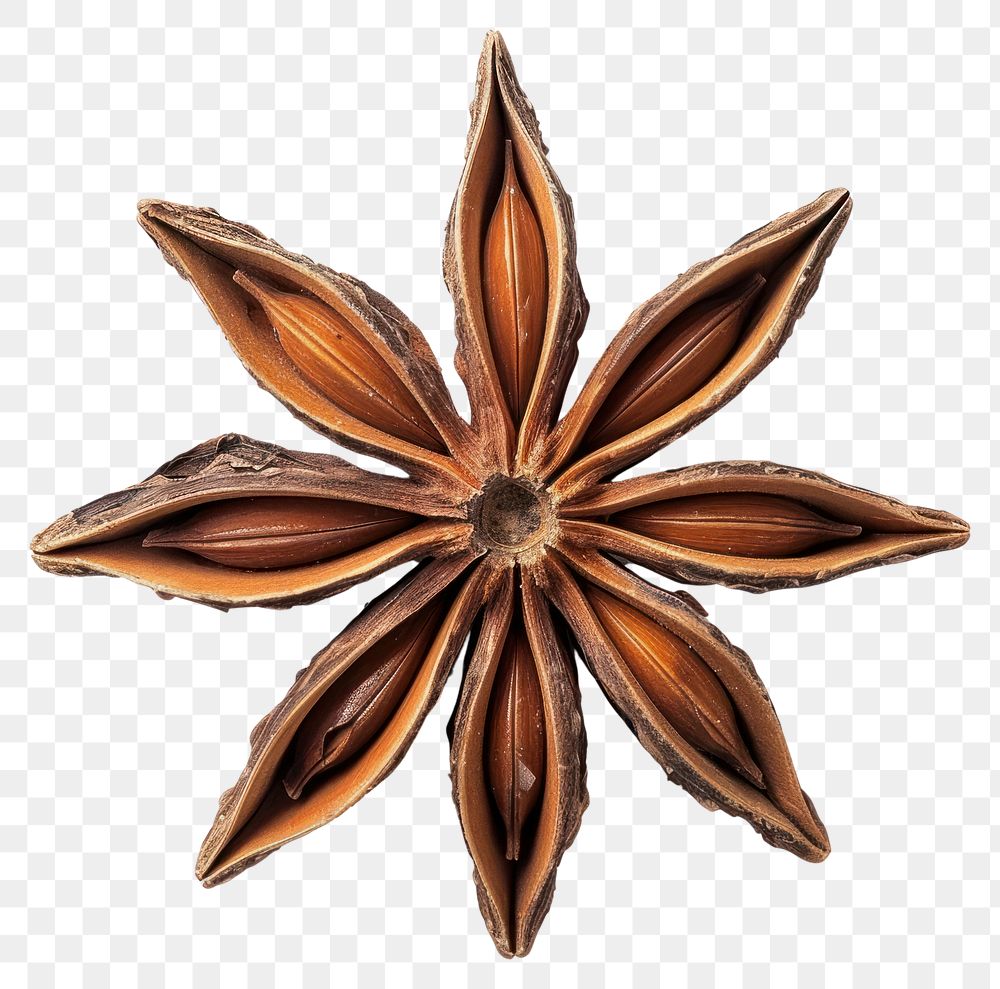 PNG Anise anise chandelier spice. | Free PNG - rawpixel
