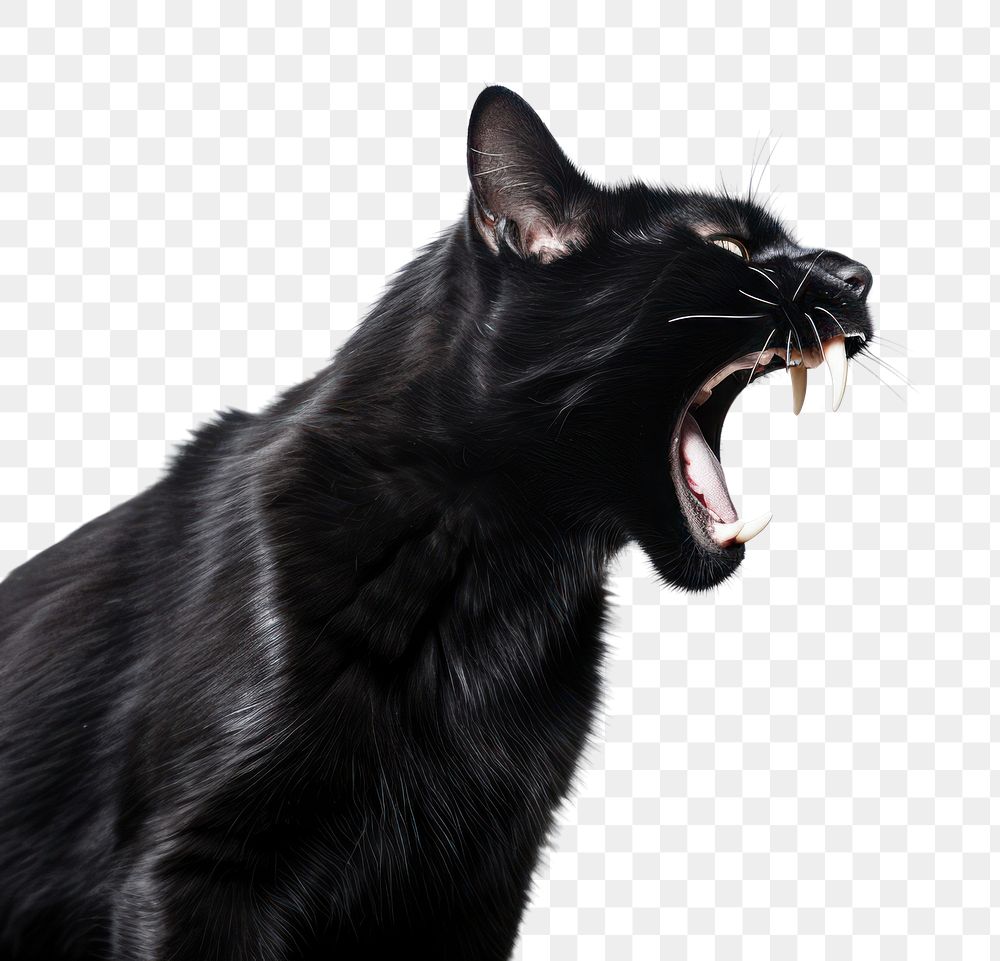 Screaming Lips Images | Free Photos, PNG Stickers, Wallpapers ...