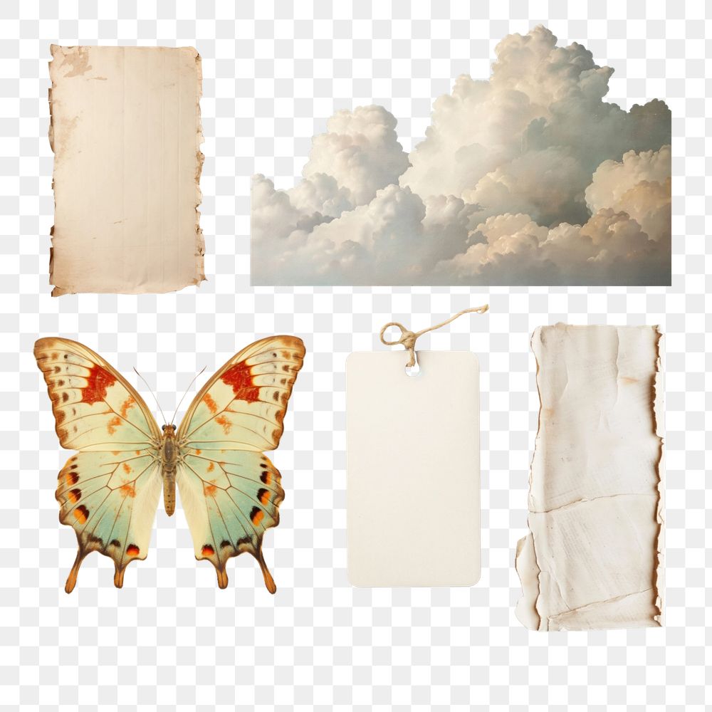 PNG aesthetic ephemera collage | Premium PNG - rawpixel
