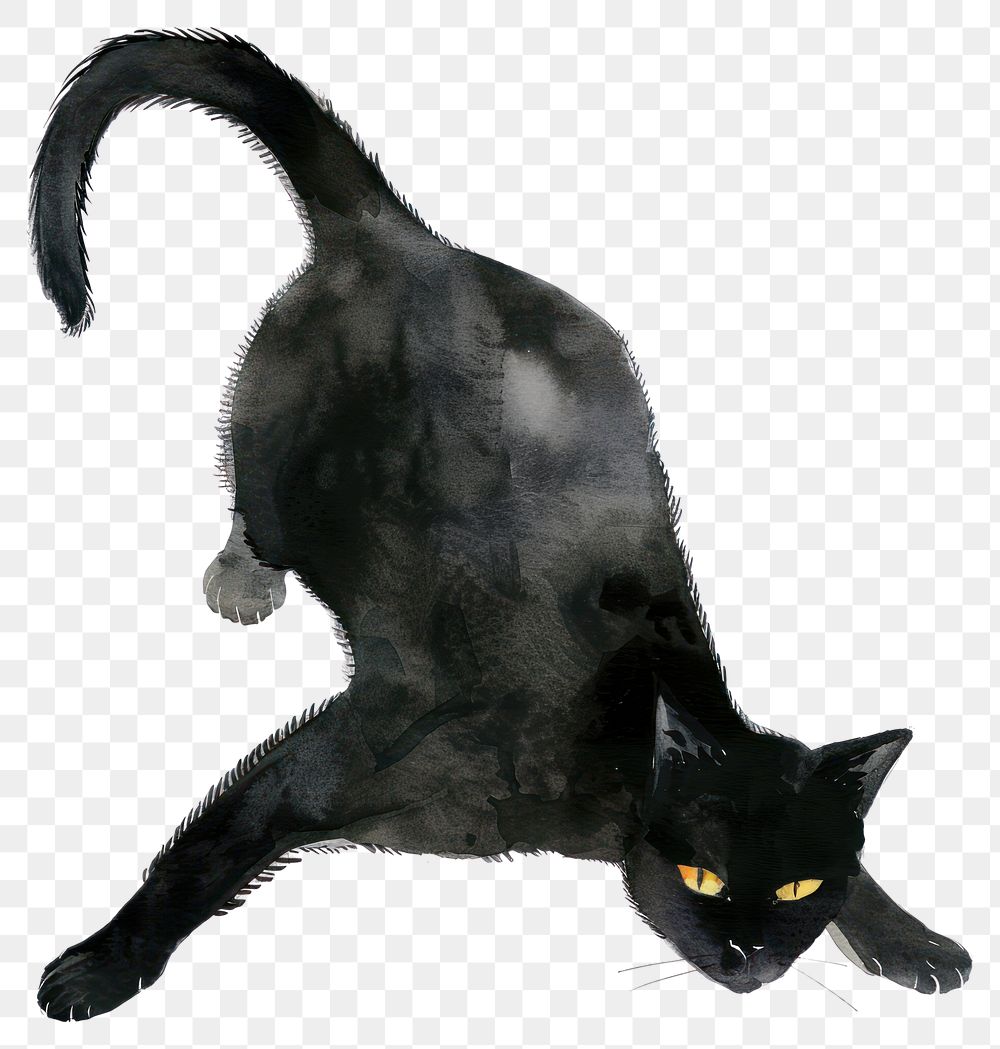 PNG Black cat illustration watercolor | Premium PNG - rawpixel