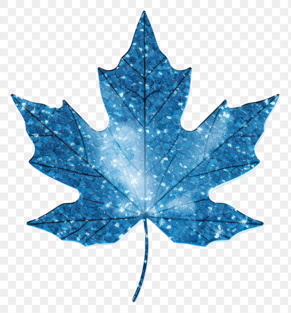 PNG Blue Maple leaf icon | Free PNG - rawpixel