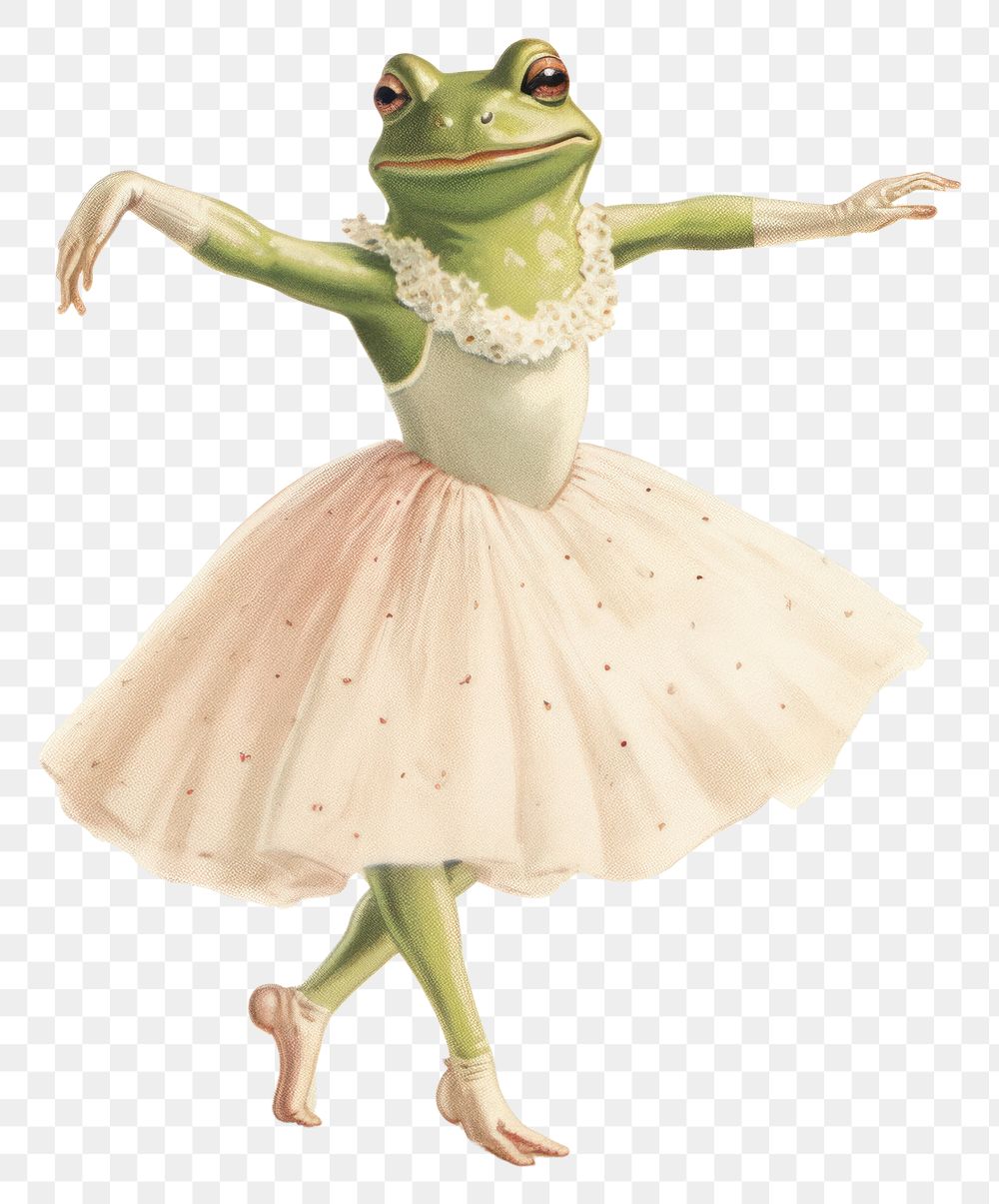PNG Ballet frog amphibian wildlife. | Free PNG - rawpixel