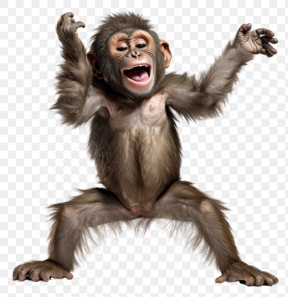 PNG Happy smiling monkey dancing | Premium PNG - rawpixel