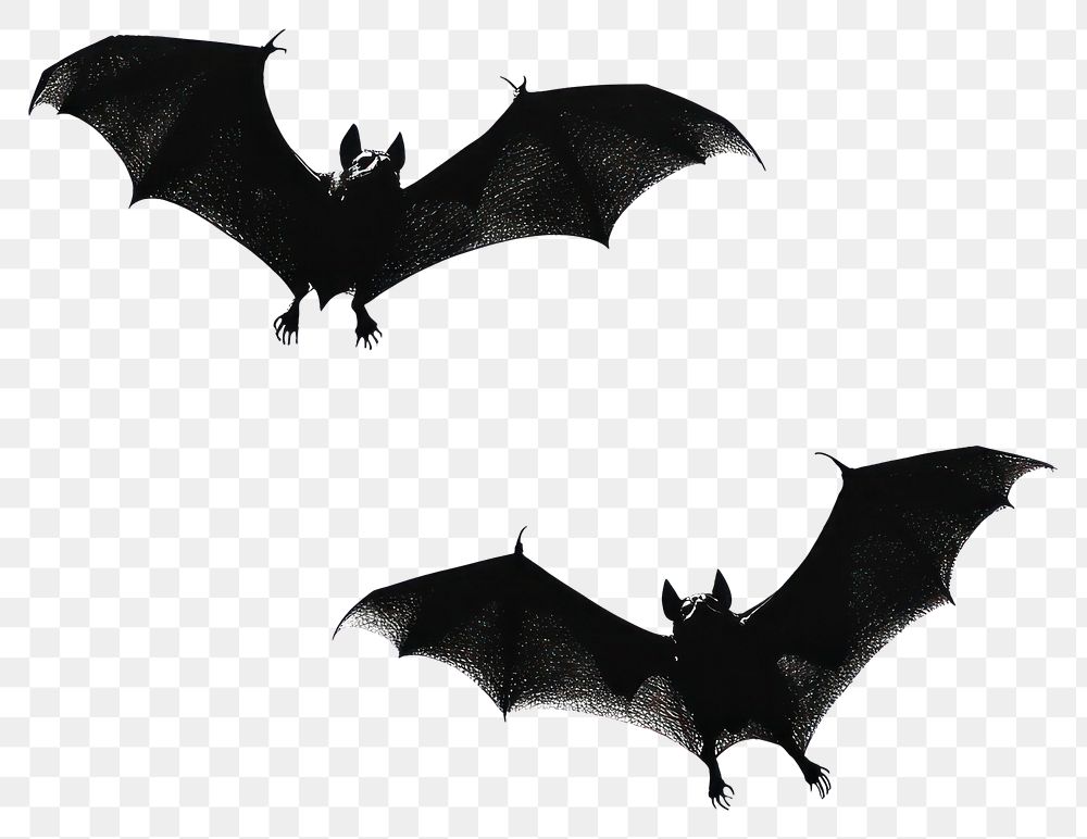 PNG Silhouette flying 3 bats | Free PNG - rawpixel