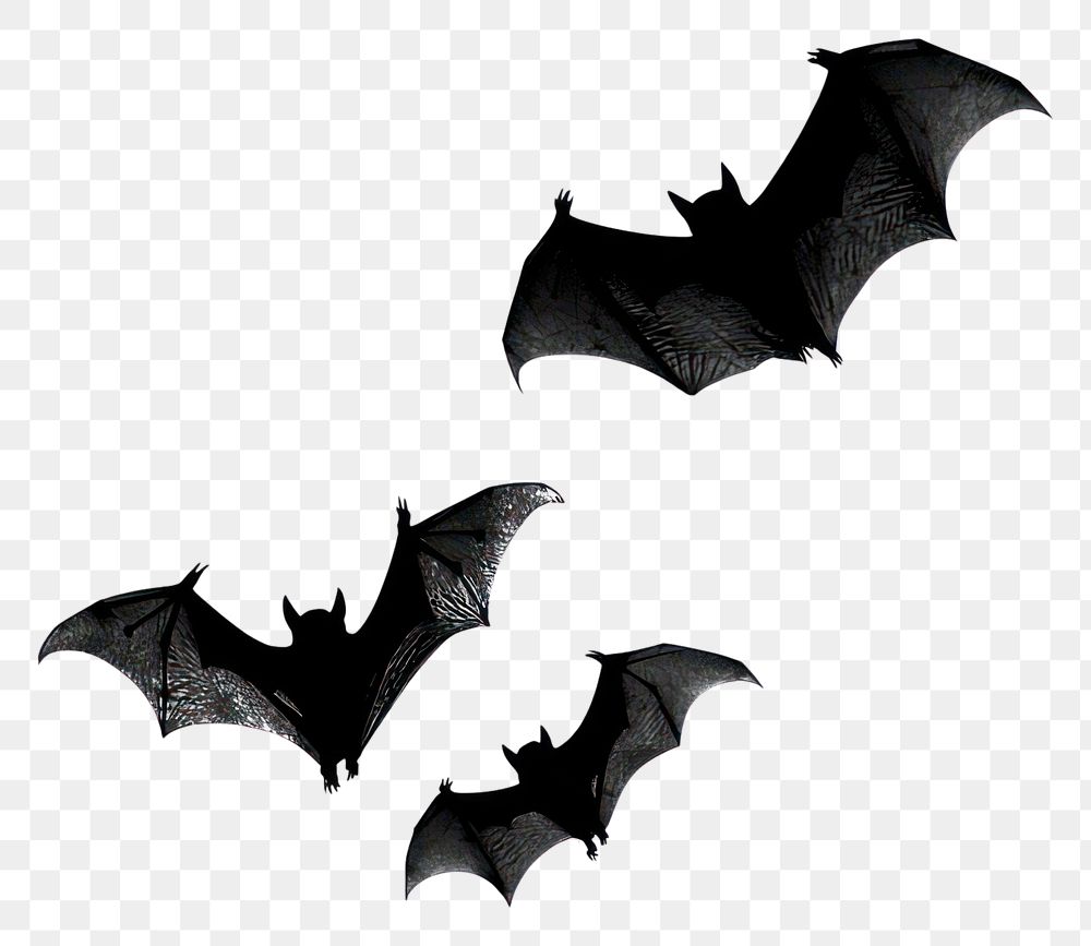 PNG Silhouette flying 3 bats | Free PNG - rawpixel
