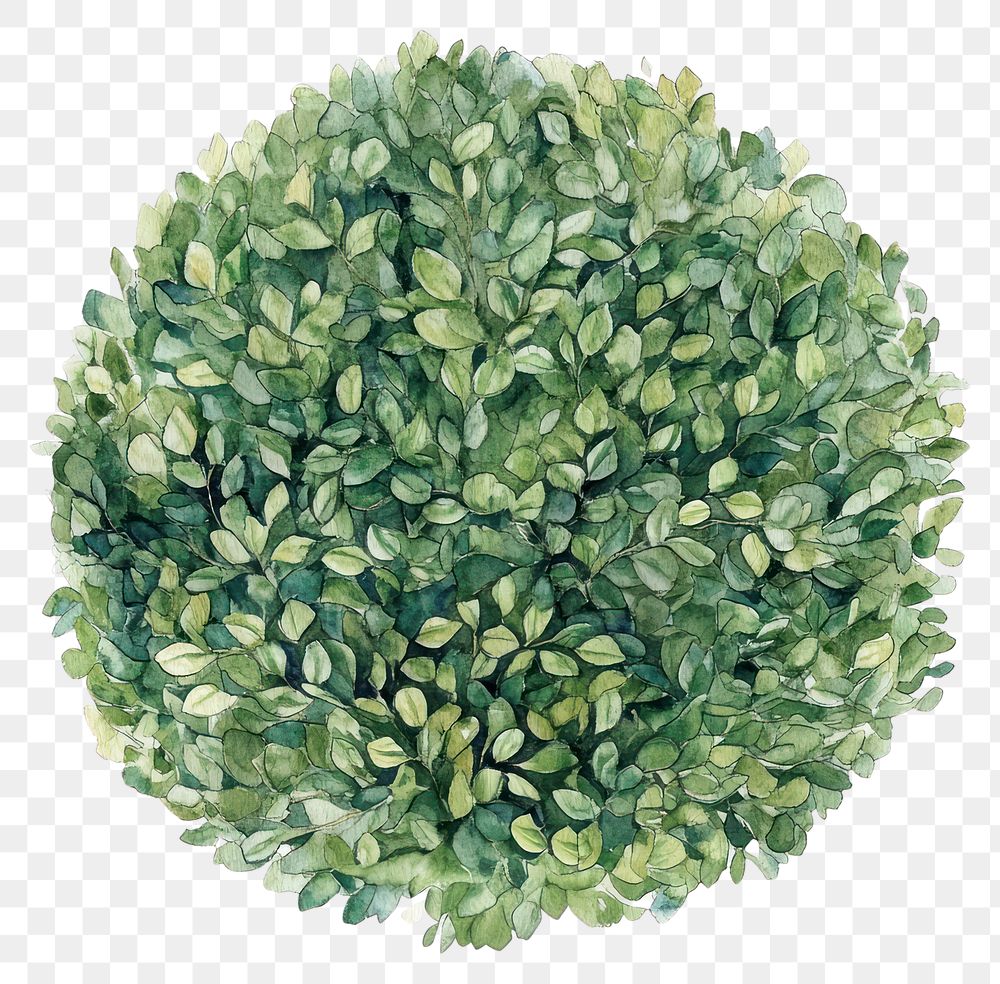 PNG Tree leaves leaf illustration. | Free PNG - rawpixel