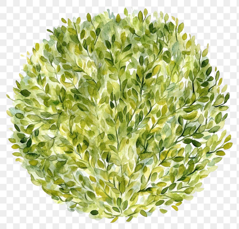 PNG Tree leaves leaf illustration. | Free PNG - rawpixel