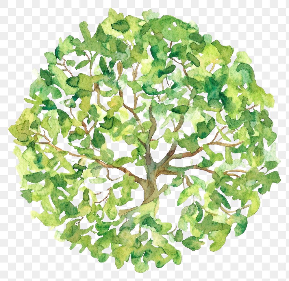 PNG Tree leaves leaf illustration. | Free PNG - rawpixel