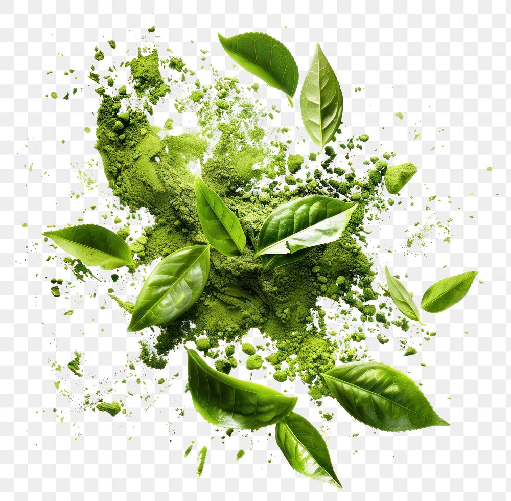 PNG Exploding green tea herbal | Premium PNG - rawpixel