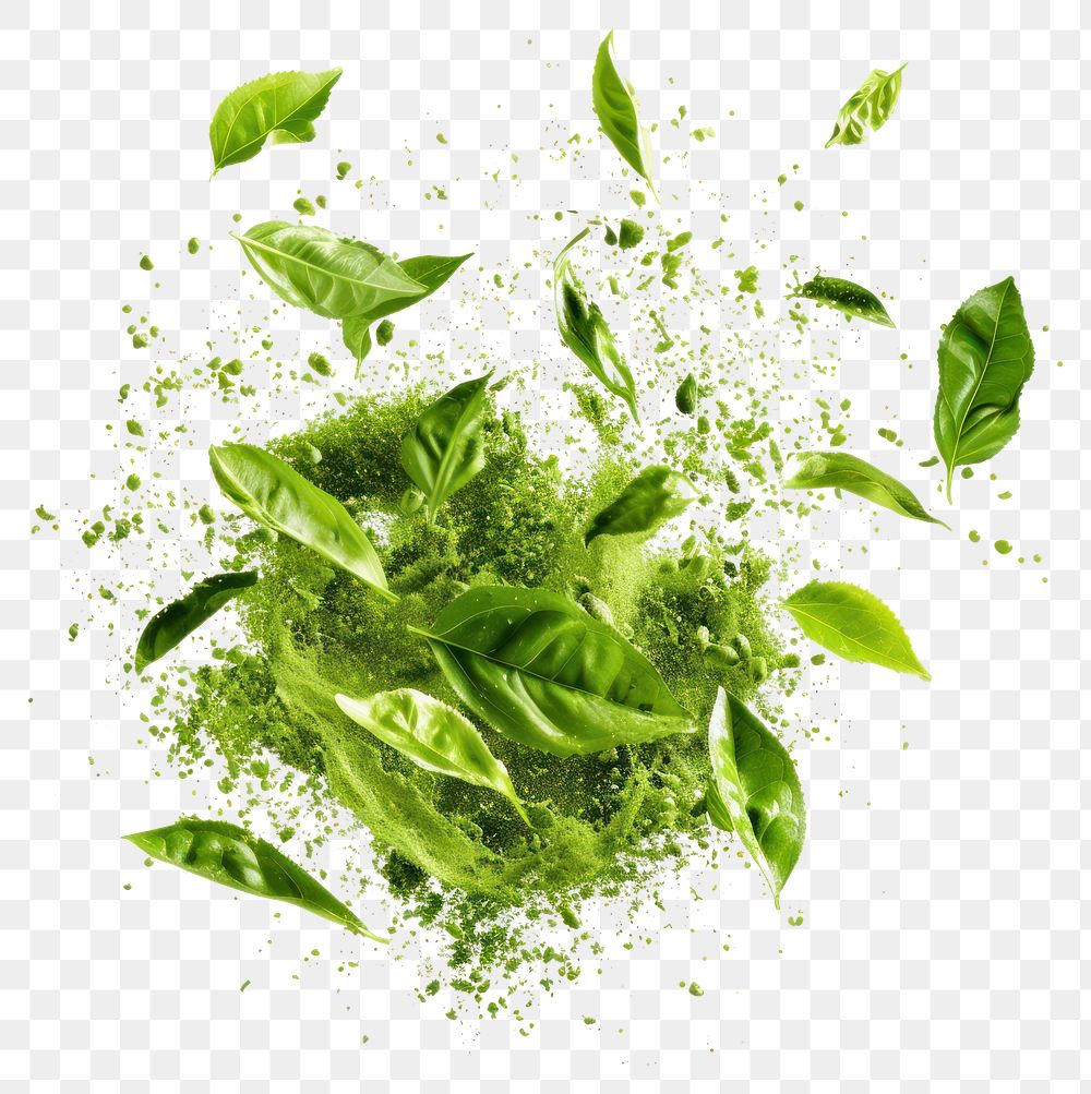 PNG Exploding green tea explosion | Free PNG - rawpixel