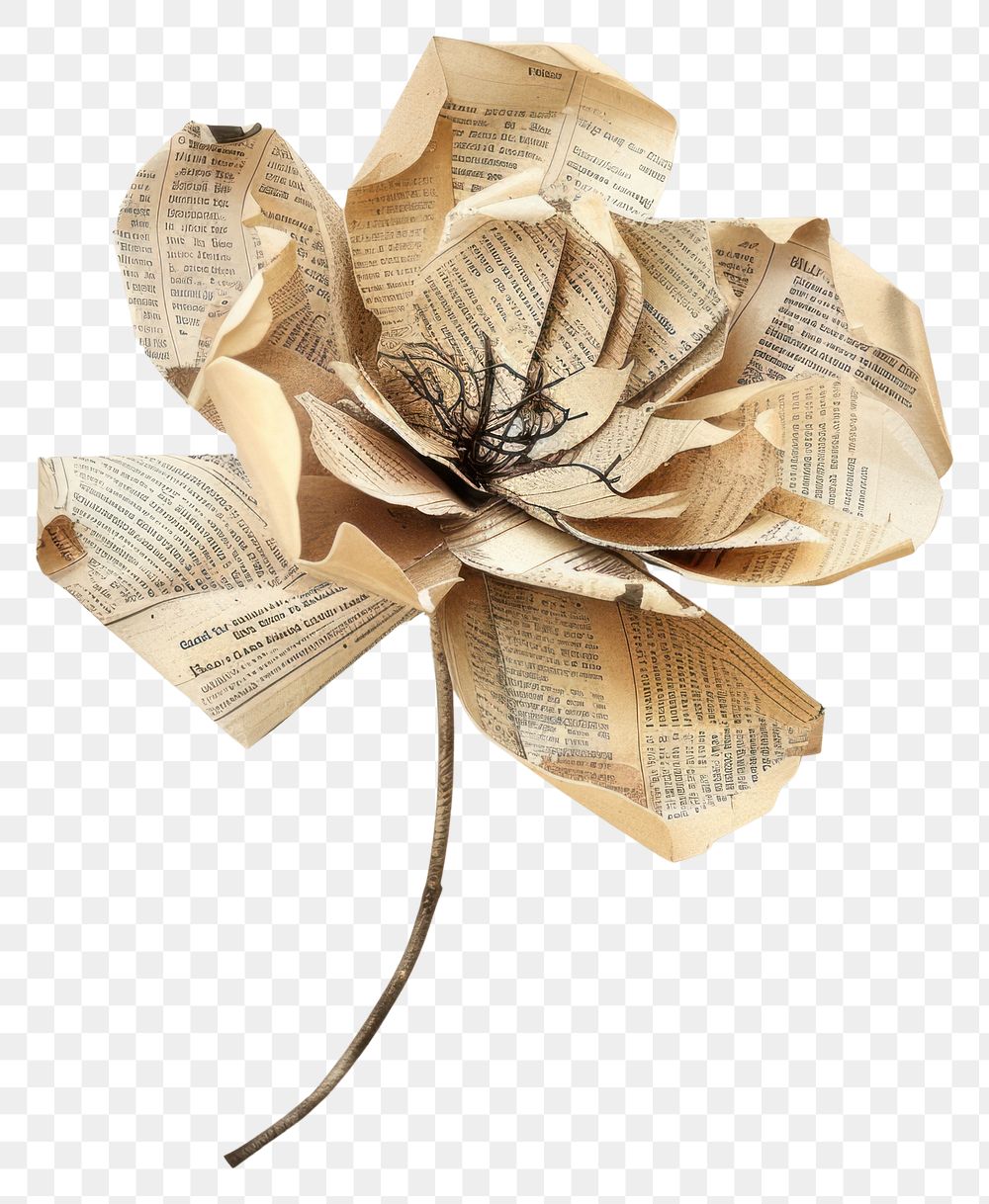PNG Ephemera paper flower art | Premium PNG - rawpixel