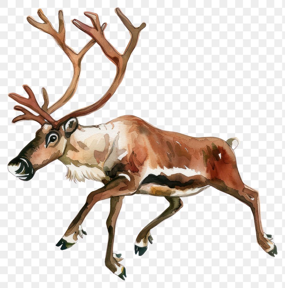 PNG jumping brown caribou illustration | Free PNG - rawpixel