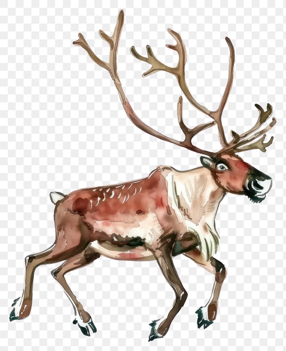 A Jumping Brown Caribou Images | Free Photos, PNG Stickers, Wallpapers ...