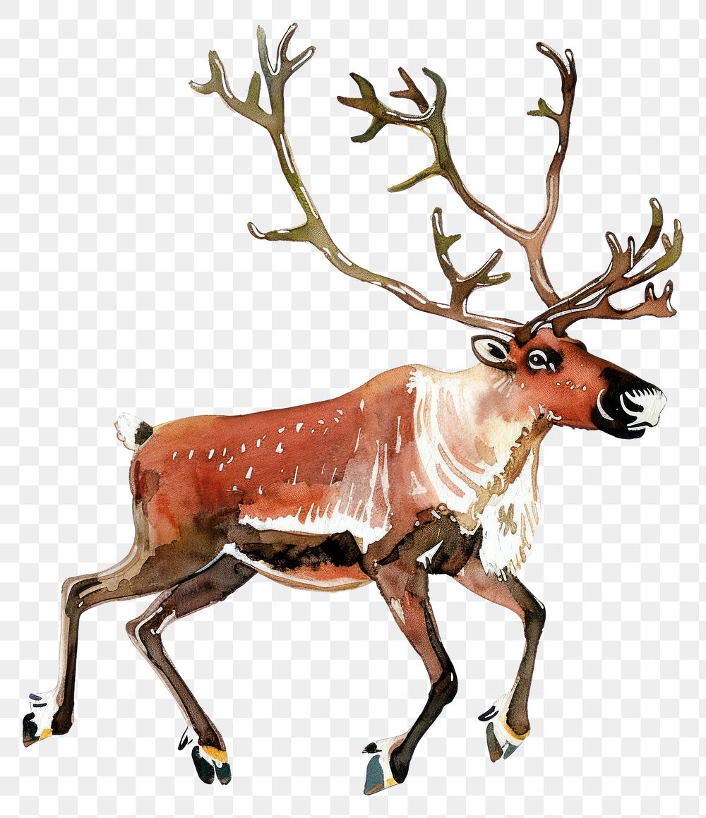 PNG jumping brown caribou illustration | Free PNG - rawpixel