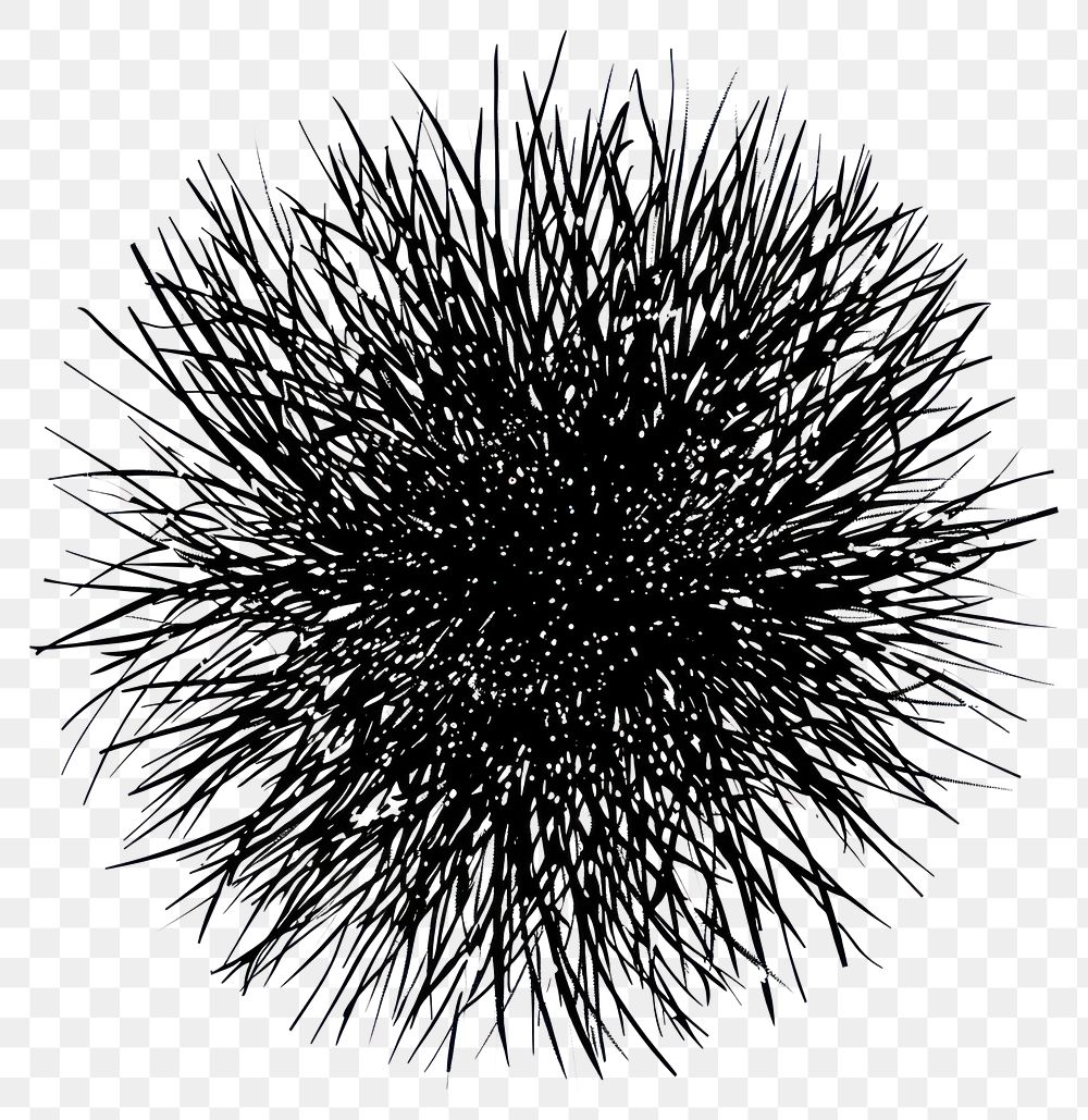 PNG Abstract spiky black circular | Free PNG - rawpixel