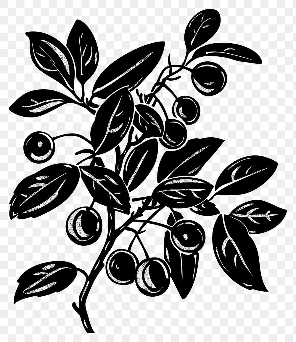 PNG Blackberry plant ink illustration | Free PNG - rawpixel