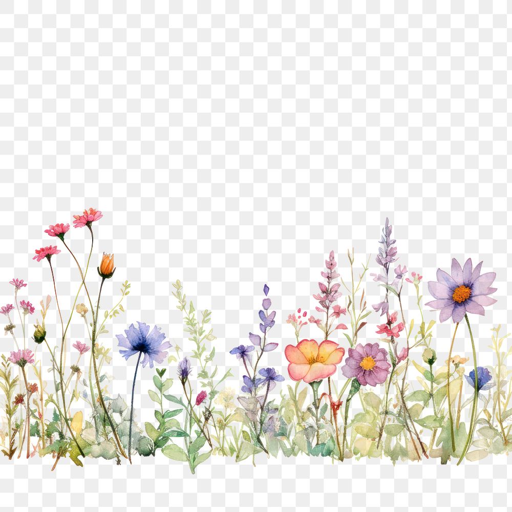 PNG Wildflower border outdoors pattern | Premium PNG - rawpixel