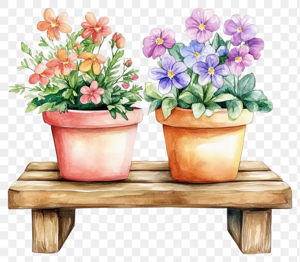 PNG Flower pots flowers illustration | Free PNG - rawpixel